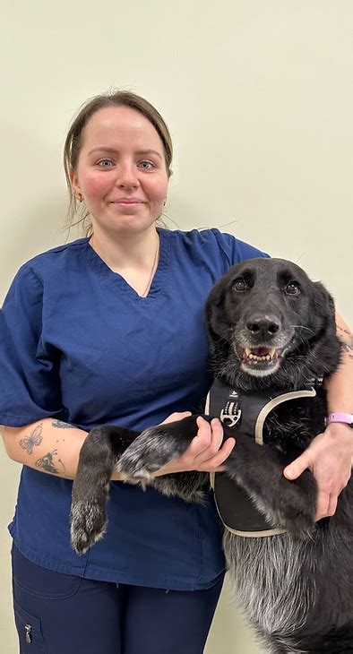 Meet Our Experienced Veterinary Team Small World Vet Centre