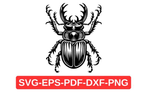 Detailed Beetle Svg For Cricut Bug Png Graphic By Artful Assetsy