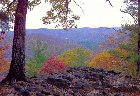 Appalachian Trail Pine Knob Loop Trail Section In Housatonic Meadows