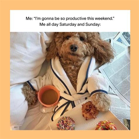 Guilty As Charged Meme