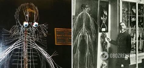 Harriet Cole Nervous System Who Is This Rufus Weaver Janitor
