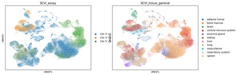 Train A Scvi Model Using Census Data — Scvi Tools