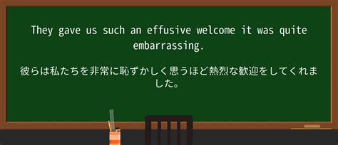 【英単語】effusiveを徹底解説！意味、使い方、例文、読み方
