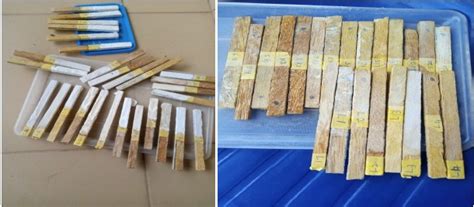 Production And Characterization Of Fire Retardant Coating Materials