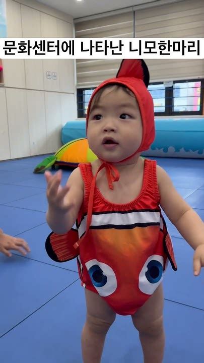 니모한마리와 🐷 Youtube