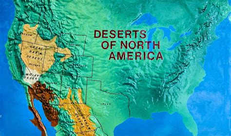 Essentials Of Desert Medicine