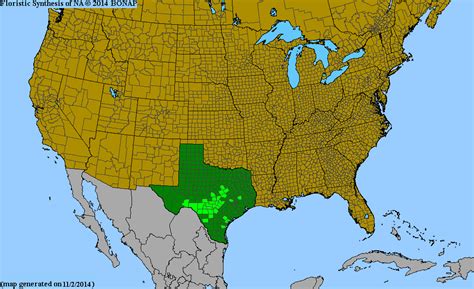 2013 Bonap North American Plant Atlas Taxonmaps