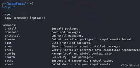 Kali安装pip2 Csdn博客