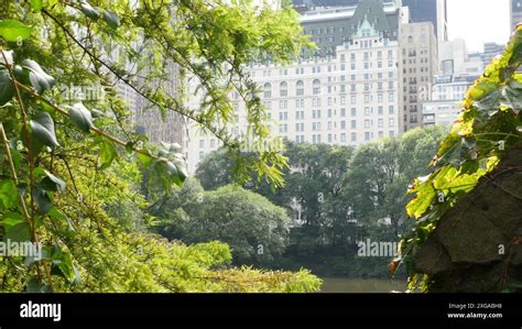 New York City Manhattan Midtown Central Park On 5th Fifth 5 Avenue