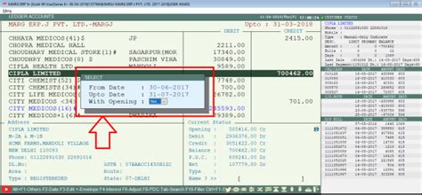 How To View Ledger Transaction Report