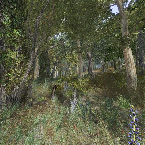 Fo4 Extremely Pixelated Tree And Grass With The Forest Mod Without