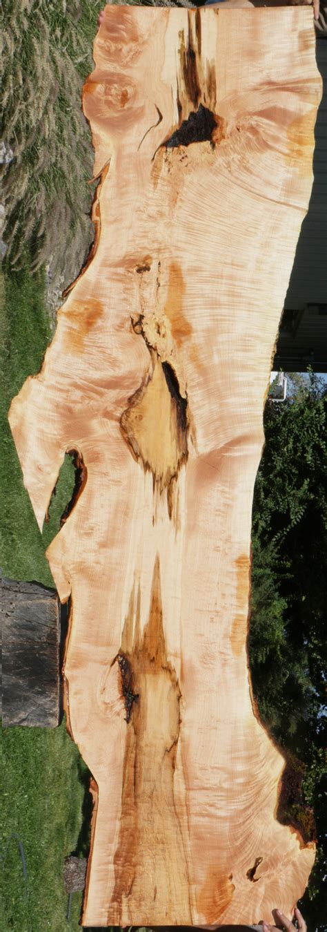 Quilted Fiddleback Maple Live Edge Lumber Cook Woods