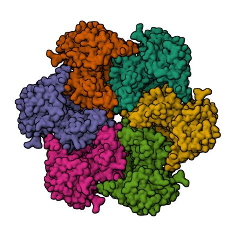 Rcsb Pdb 5ftj Cryo Em Structure Of Human P97 Bound To Upcdc30245