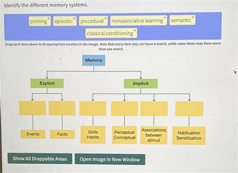 Solved Identify The Different Memory Systemspriming
