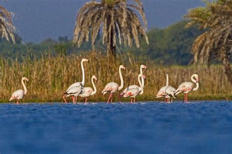 Another Milestone As We Crossed 90 Now Century Is Not Far Keeping In View The Quantum Jump In