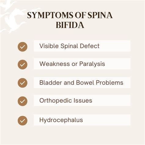 Spina Bifida Nursing