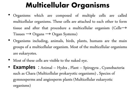 Classification System In Biologypdf