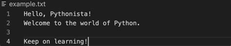 Python File I O Exercises And Examples Pythonista Planet