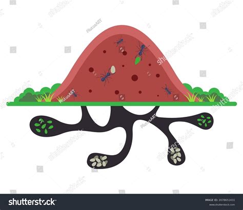 Termite Mound Over 90 Royalty Free Licensable Stock Vectors And Vector