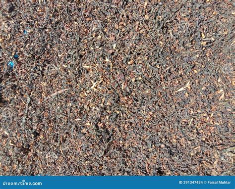 The Process Of Drying Tobacco Before Processing It Into Cigarettes