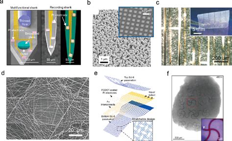 Recent Developments In Wired Up Bioelectrical Interfaces A