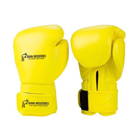 Si 2405 Shan Industries