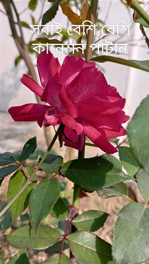 Abdul Mozid On Linkedin Letsconnect 59 Comments