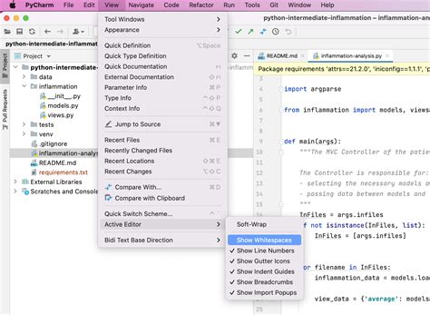 Python Code Style Conventions Intermediate Research Software Development
