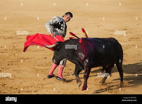 Traditional Spanish Bullfighting On July 19 2013 In La Linea De La