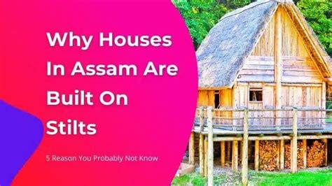 5 New Assamese Font Download Free