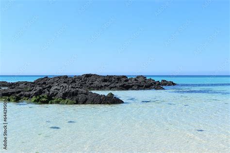 여름에 볼수있는 제주도의 아름다운 해변의 바다와 하늘 풍경 Stock Bilde Adobe Stock