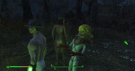 My New Companion Imgur