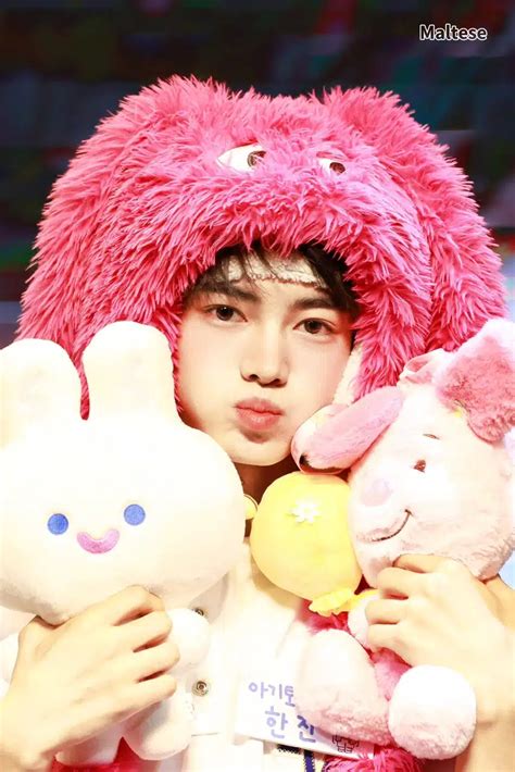 인형 한 가득 품고있는 한진 팬플러스 커뮤니티