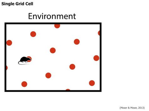 Locations In The Neocortex A Theory Of Sensorimotor Prediction Using