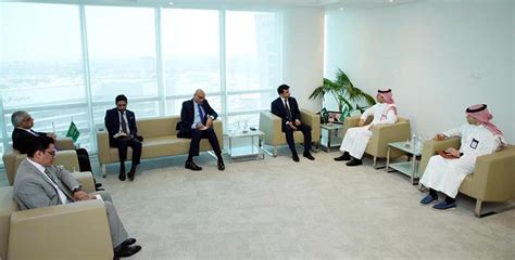 Special Assistant To The Prime Minister On Overseas Pakistanis Muhammad Jawad Sohrab Malik