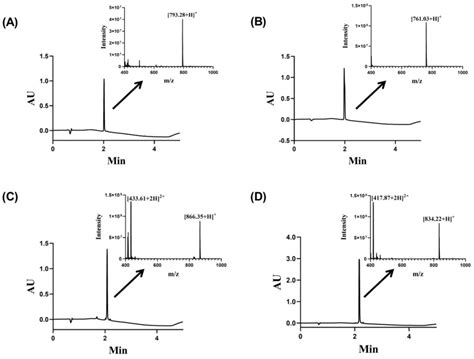Synthesis Of Cyclic Hexapeptides Via The Hydrazide Method And
