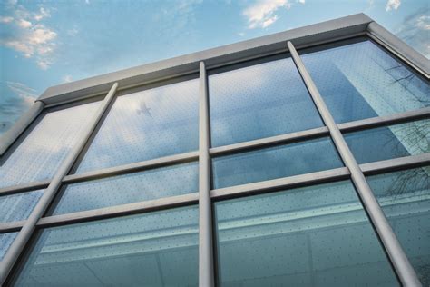 Navigating The Future Of Bird Friendly Glass Glass Magazine