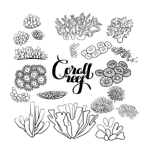 Collection Of Coral Reef Elements Stock Vector Illustration Of Beach