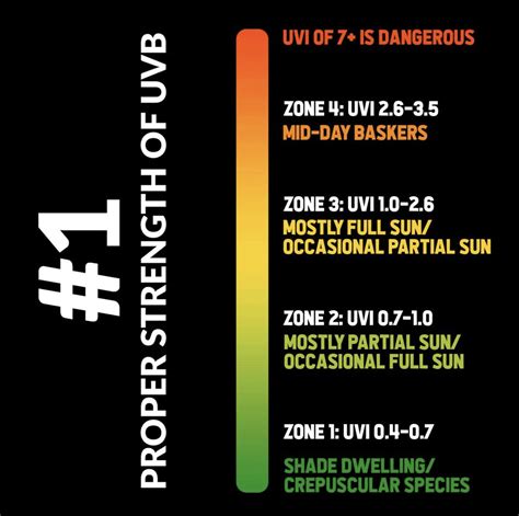 Reposting This Useful Uvb Positioning Chart By Zoomedlabs R