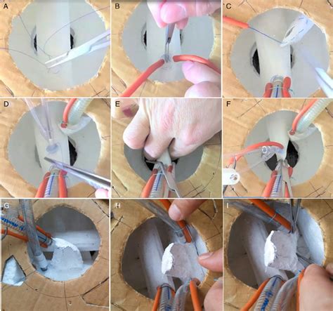 Full Cannulation Of The Models A And B Cannulation Of The Aortic