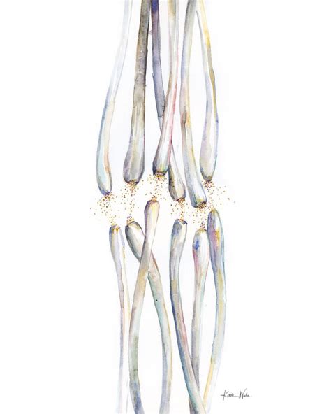 Synaptic Cleft Watercolor Print Serotonin Neurology Art Abstract