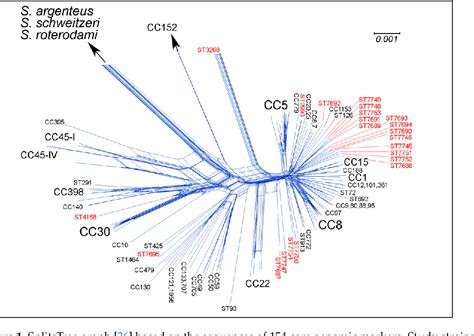 Figure 1 From Sequence Analysis Of Novel Staphylococcus Aureus Lineages From Wild And Captive