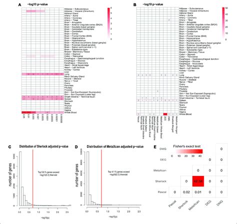 Summary Of Multidimensional Data A Tissue Specific Enrichment Download Scientific Diagram