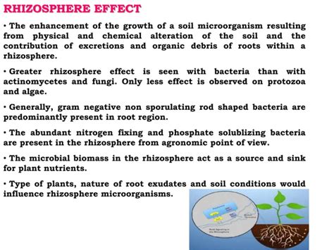 Plant Microbe Interaction Pptx
