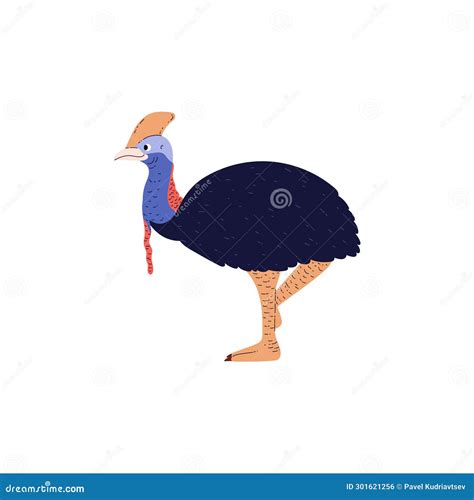 Cassowary Bird Portrait Watercolor Clipart Illustration With Isolated Background