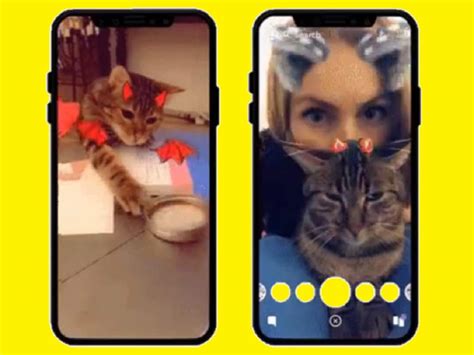 Snapchat Adds Face Filters For Cats Just Another Place The Kitties