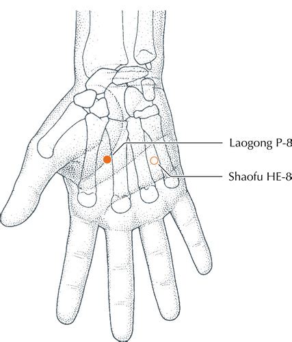 Five Element Points Pericardium Diagram Quizlet