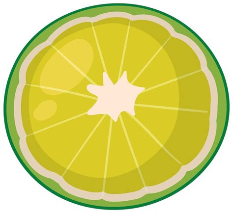 Vektor Slice Jeruk Nipis Unduh Vektor Berkualitas Tinggi Gratis Dari Freepik Freepik