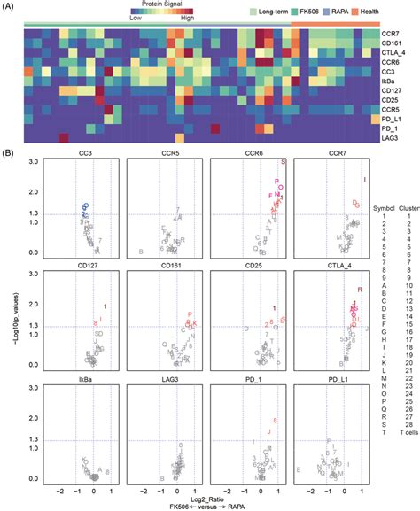 Health Controls Fk506 And Rapamycin Rapa Groups Expressed Distinct