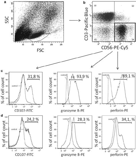 Analysis Of Cd107 Mobilization And Intracellular Expression Of Perforin